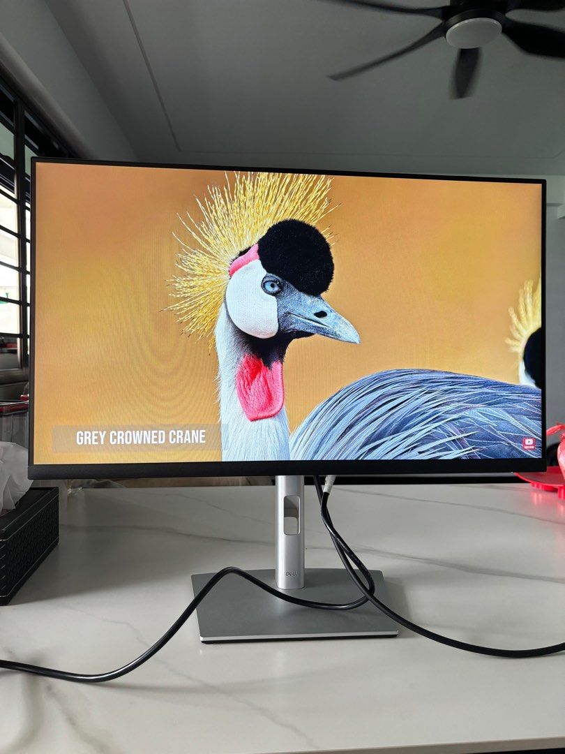 DELL P2722H 27" inch FHD IPS Monitor Height Swivel Rotate Landscape ...