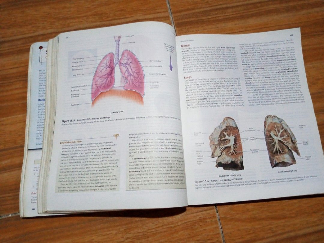 Essentials Of Anatomy And Physiology By Seeley Stephens And Tate