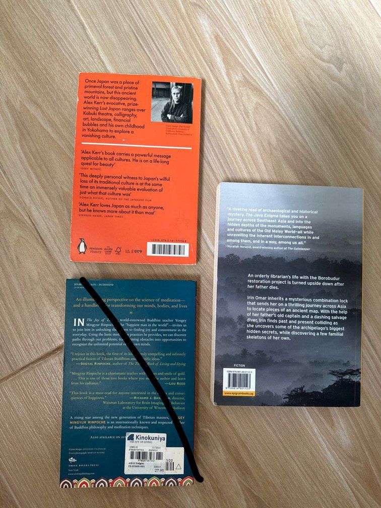 Lost Japan | The Java Enigma [mail included], Hobbies & Toys, Books & Magazines, Fiction & Non ...