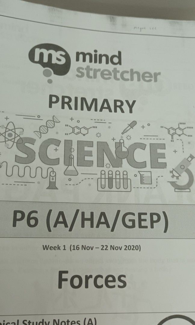 MIND stretcher P6 Science, Hobbies & Toys, Books & Magazines ...