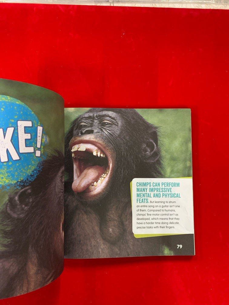 National Geographics Kids Real or Fake, Hobbies & Toys, Books ...