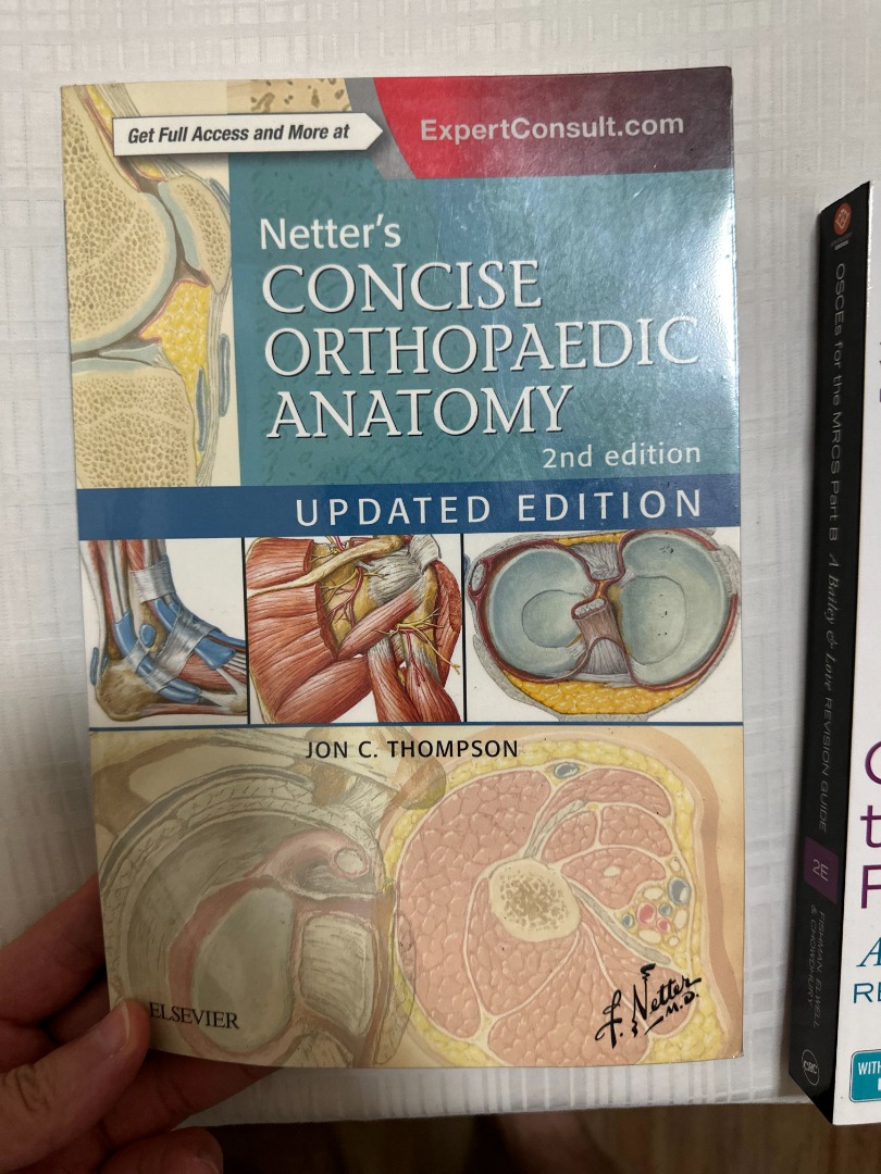 Netters Concise Orthopaedic Anatomy 2nd Ed, Hobbies & Toys, Books ...