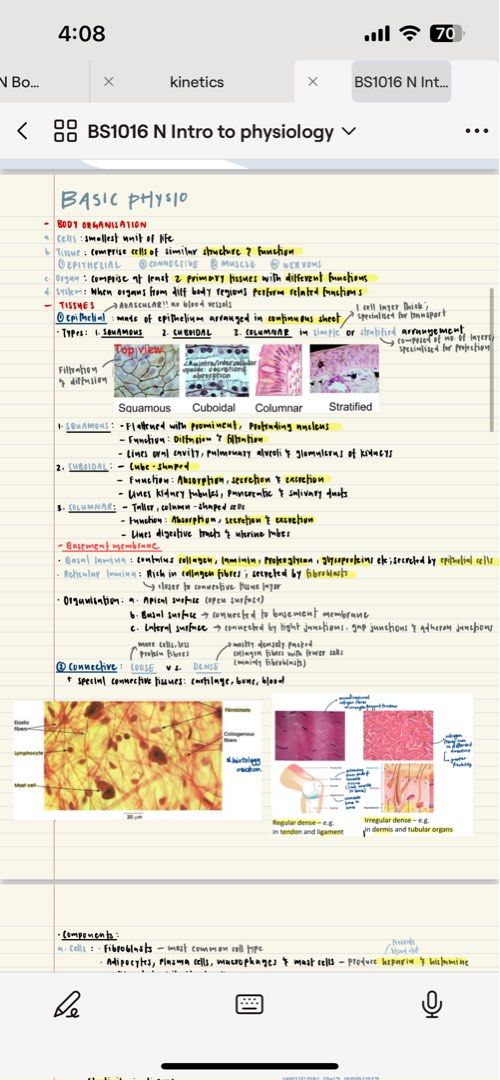 NTU BS1016 Summary notes, Hobbies & Toys, Books & Magazines, Textbooks ...