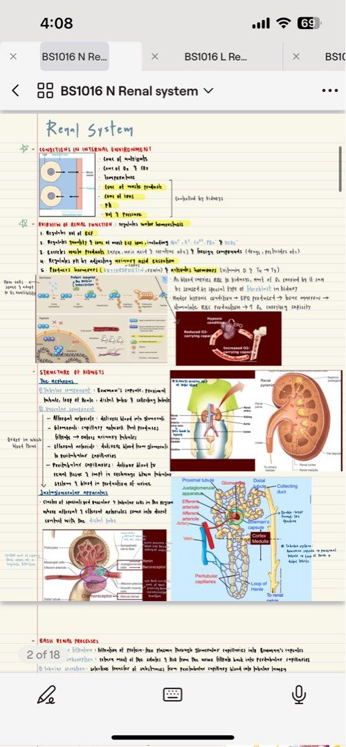 NTU BS1016 Summary notes, Hobbies & Toys, Books & Magazines, Textbooks ...