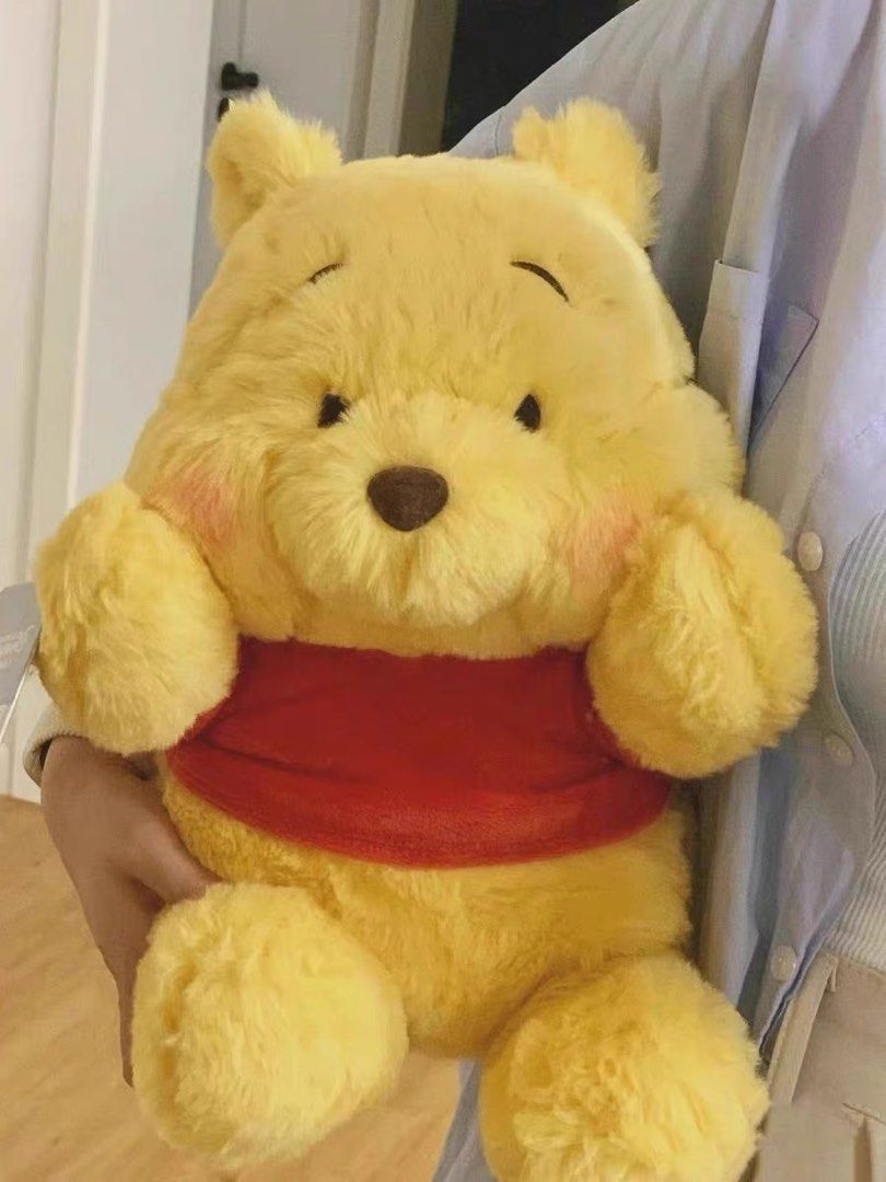 [PO] disney winnie the pooh with blush plush toy, Babies & Kids, Infant ...