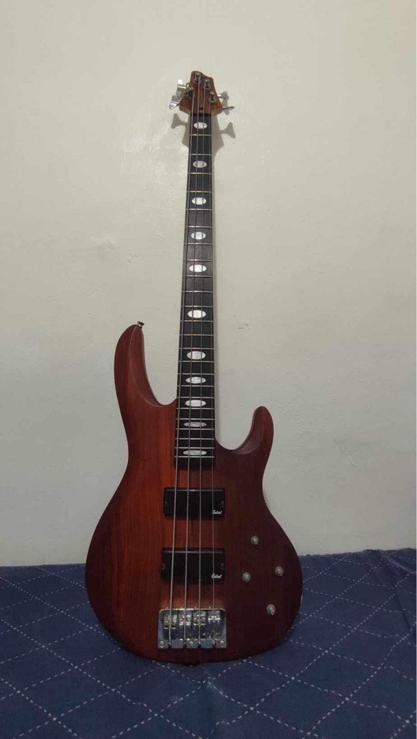Pulse Bass (negotiable), Hobbies & Toys, Music & Media, Musical ...