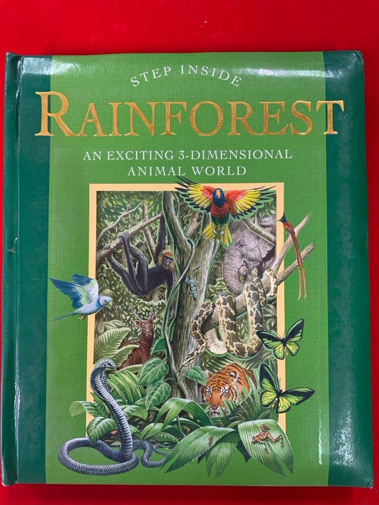 Rainforest An Exciting 3D Animal World, Hobbies & Toys, Books ...
