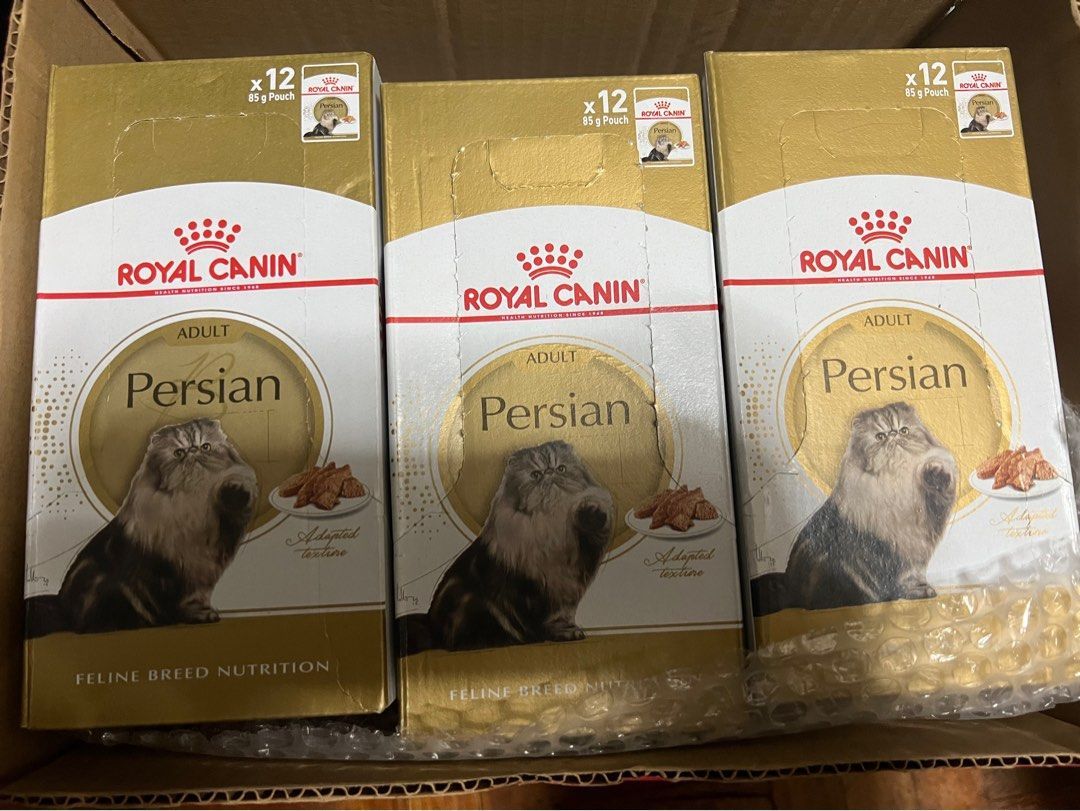 Royal Canin Persian Wet Food 85g Pack, Pet Supplies, Pet Food on Carousell