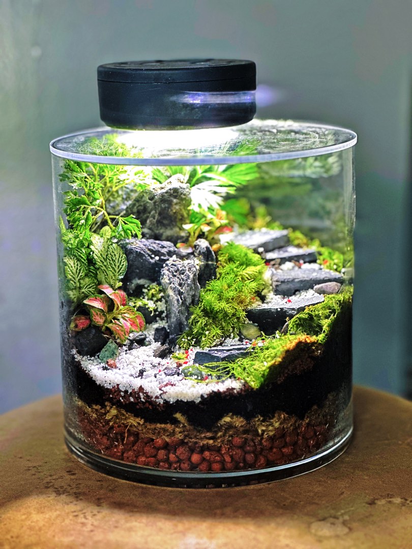 Stepping Stones terrarium, Furniture & Home Living, Gardening, Pots ...