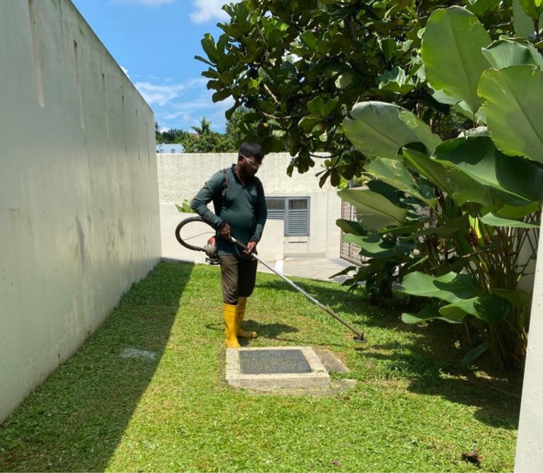 Tree pruning/ Grass cutting and landscape maintenance, Home Services ...