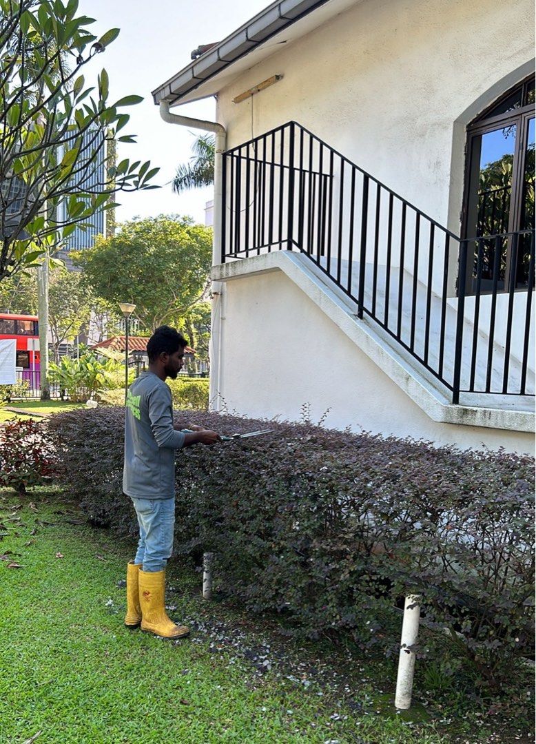 Tree pruning/ Grass cutting and landscape maintenance, Home Services ...