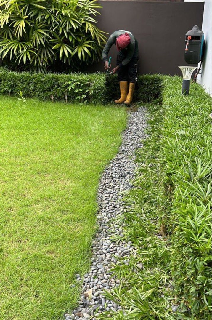 Tree pruning/ Grass cutting and landscape maintenance, Home Services ...