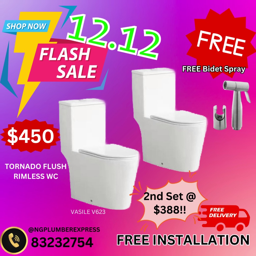 12.12 SALES! VASILE V623 TORNADO RIMLESS TOILET BOWL WITH GEBERIT ...