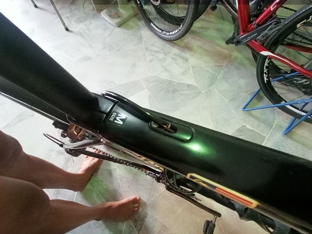 Carbon roadbike Italian breed, Sports Equipment, Bicycles & Parts, Bicycles on Carousell