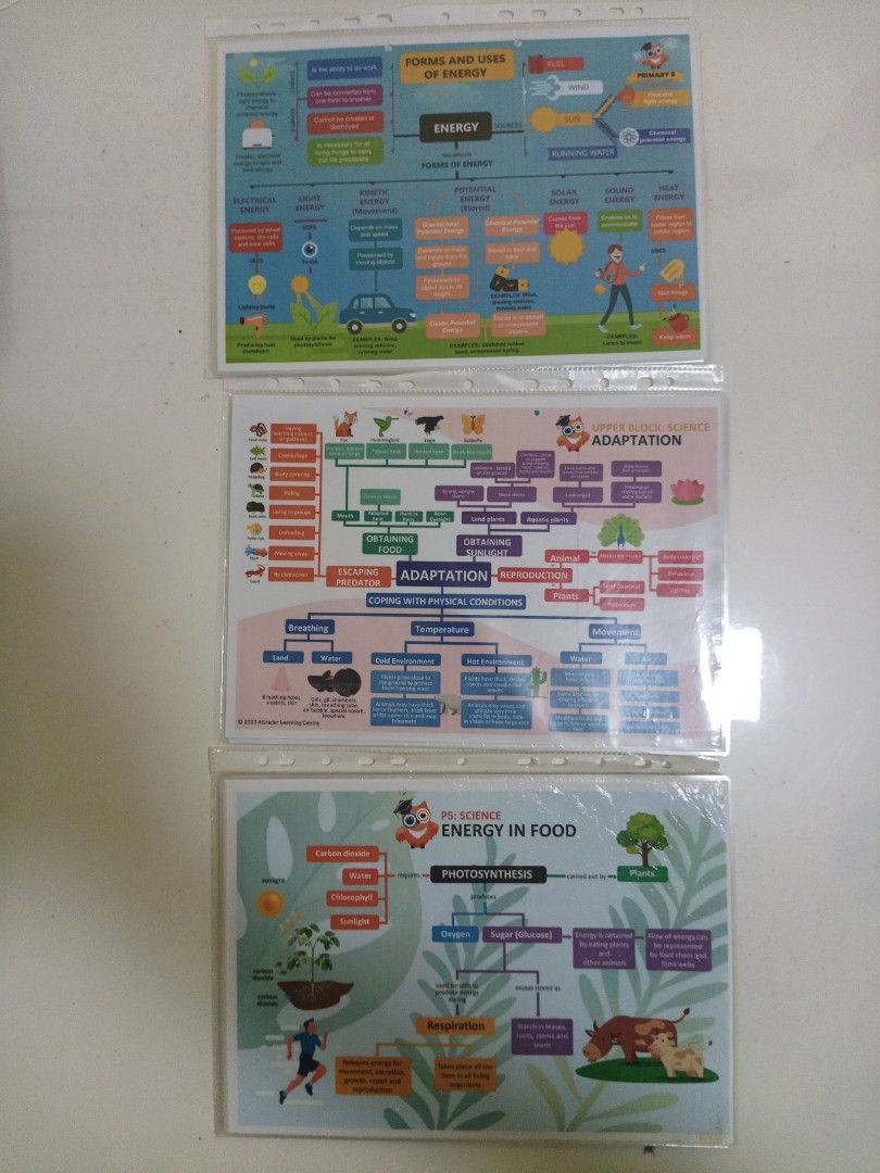 Cheat sheets for P5/6 Science, Hobbies & Toys, Books & Magazines ...