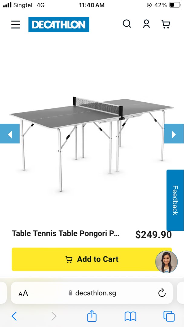 Decathlon table-tennis table (PPT100), Sports Equipment, Other Sports ...
