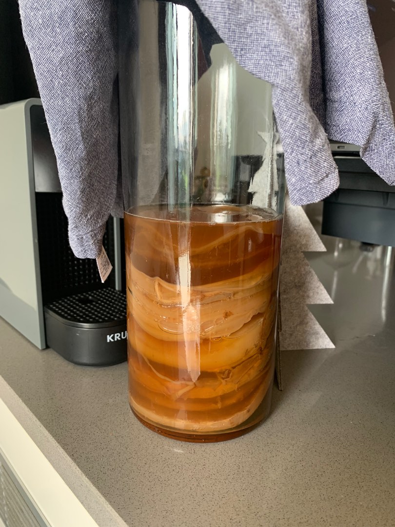 Free SCOBY, kombucha brewing, starter, Food & Drinks, Beverages on ...