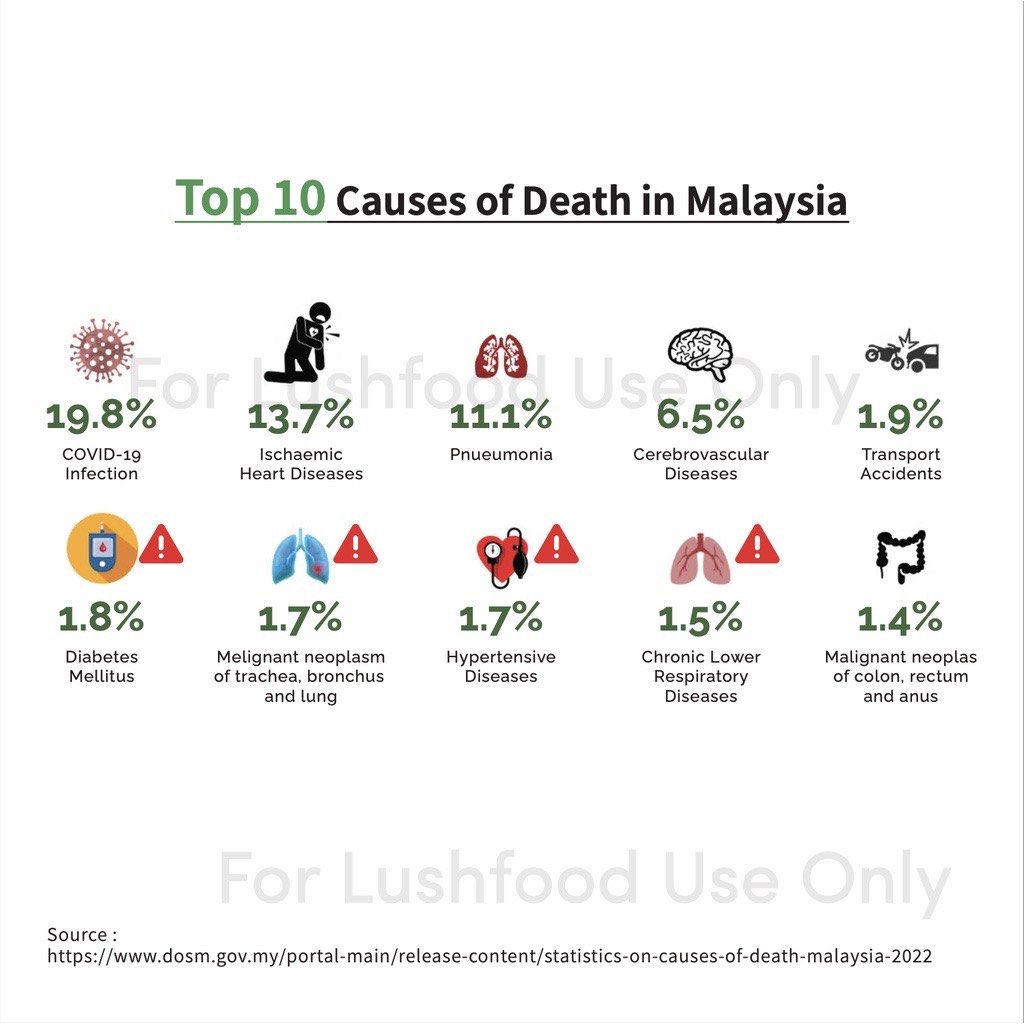 Healthopedia Bittermelon ( Insumate patented) 30 sachets, Health ...