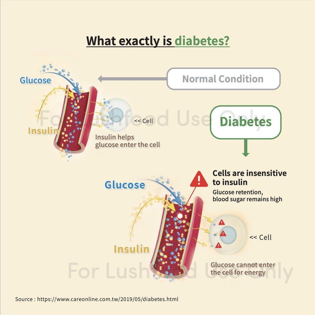 Healthopedia Bittermelon ( Insumate patented) 30 sachets, Health ...