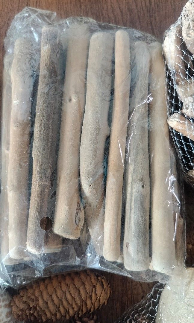 Natural materials shells pines wooden sticks, Hobbies & Toys, Toys ...
