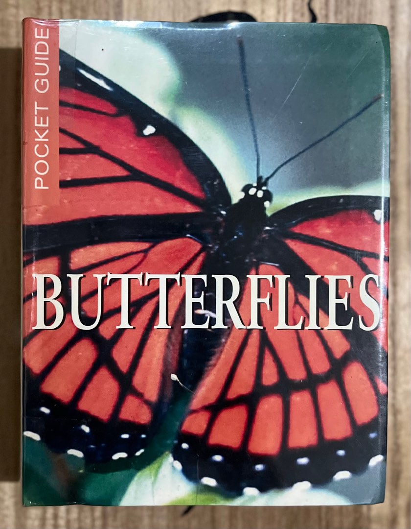 Pocket Guide - Butterflies, Hobbies & Toys, Books & Magazines, Fiction ...