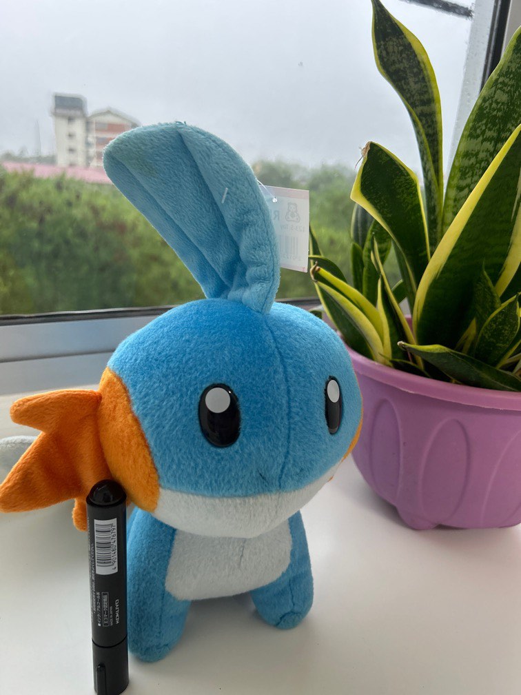 Pokemon Plush Mudkip, Hobbies & Toys, Toys & Games on Carousell