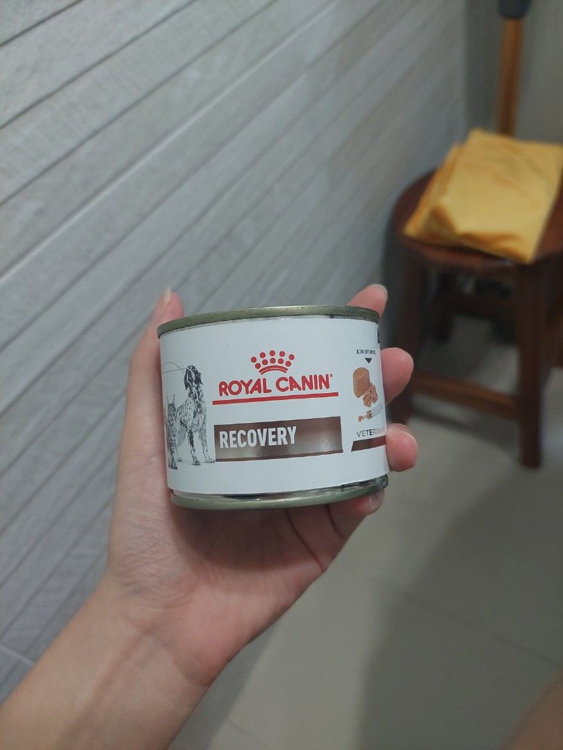 Royal Canin Veterinary Recovery Dog & Cat Mousse wet food, Pet Supplies ...
