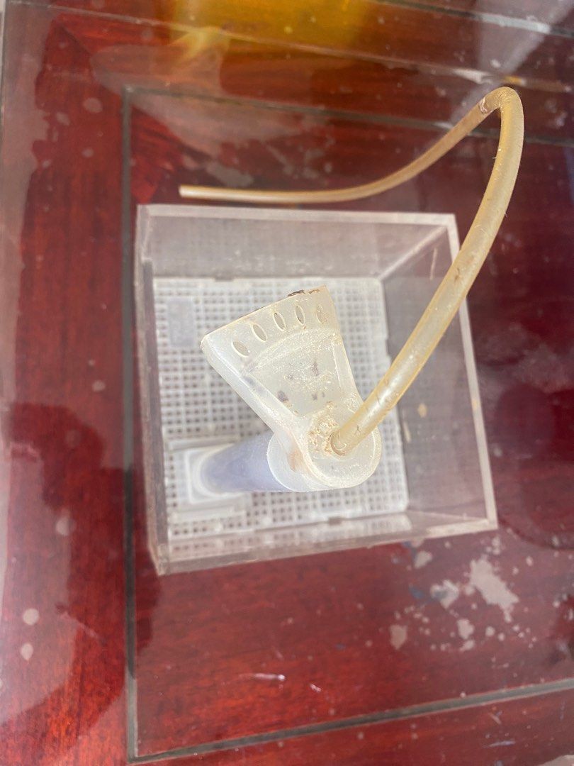 Shrimp UGF under gravel filter, Pet Supplies, Homes & Other Pet ...