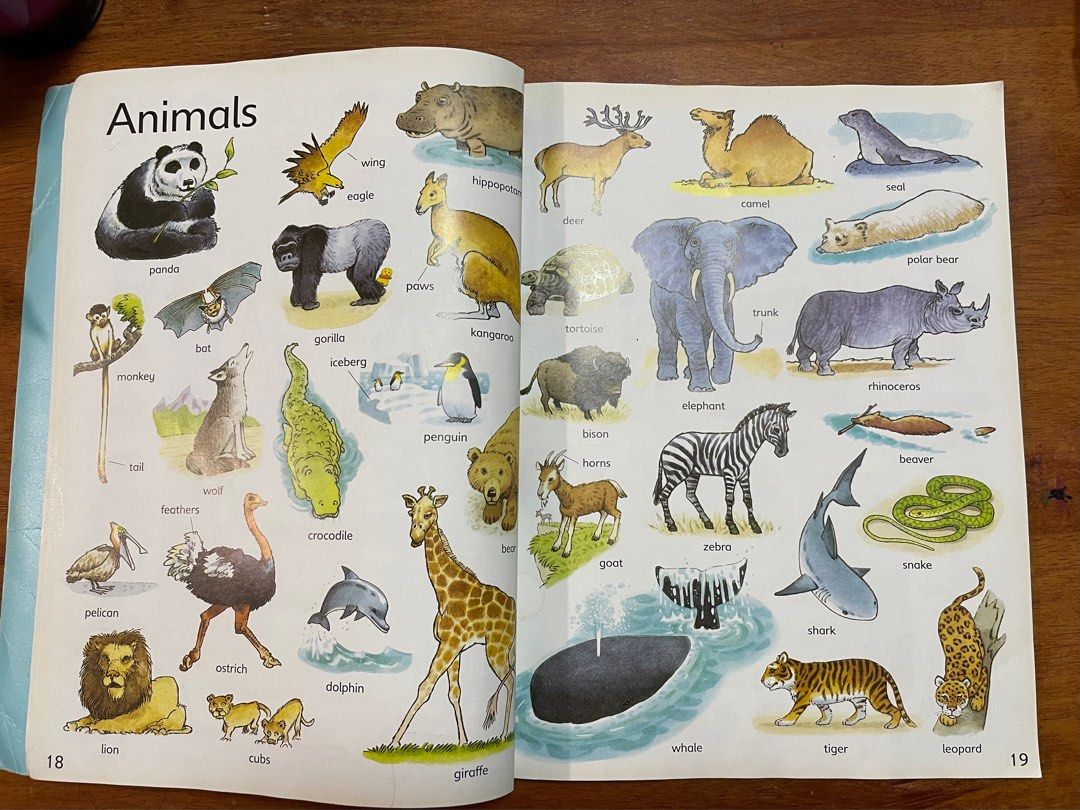 Usborne My First Thousand Words in English, Hobbies & Toys, Books ...