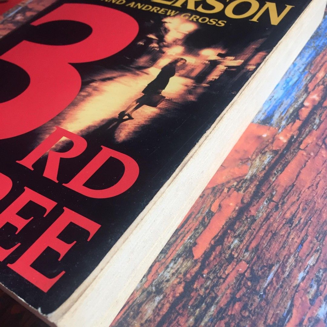 3rd Degree by James Patterson and Andrew Gross, Hobbies & Toys, Books ...