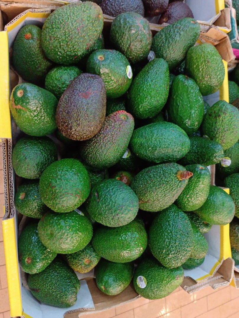Australia Avocado(Hass)- 1 Carton(26-28pcs), Food & Drinks, Fresh ...
