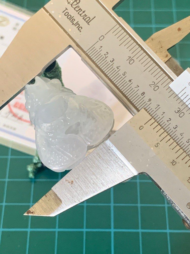 Rare Bee jade pendant, Hobbies & Toys, Memorabilia & Collectibles ...