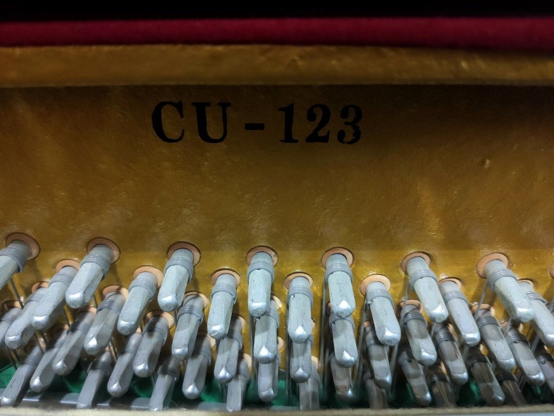 Cristofori Piano CU-123, Hobbies & Toys, Music & Media, Musical ...