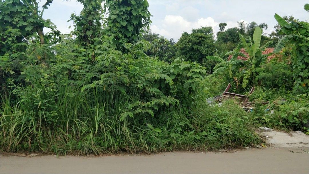Jual cpt tanah dg harga di bawah hrg pasar, Properti, Dijual di Carousell