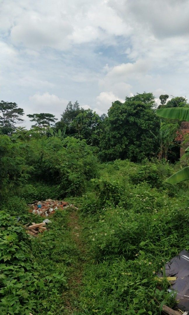 Jual cpt tanah dg harga di bawah hrg pasar, Properti, Dijual di Carousell