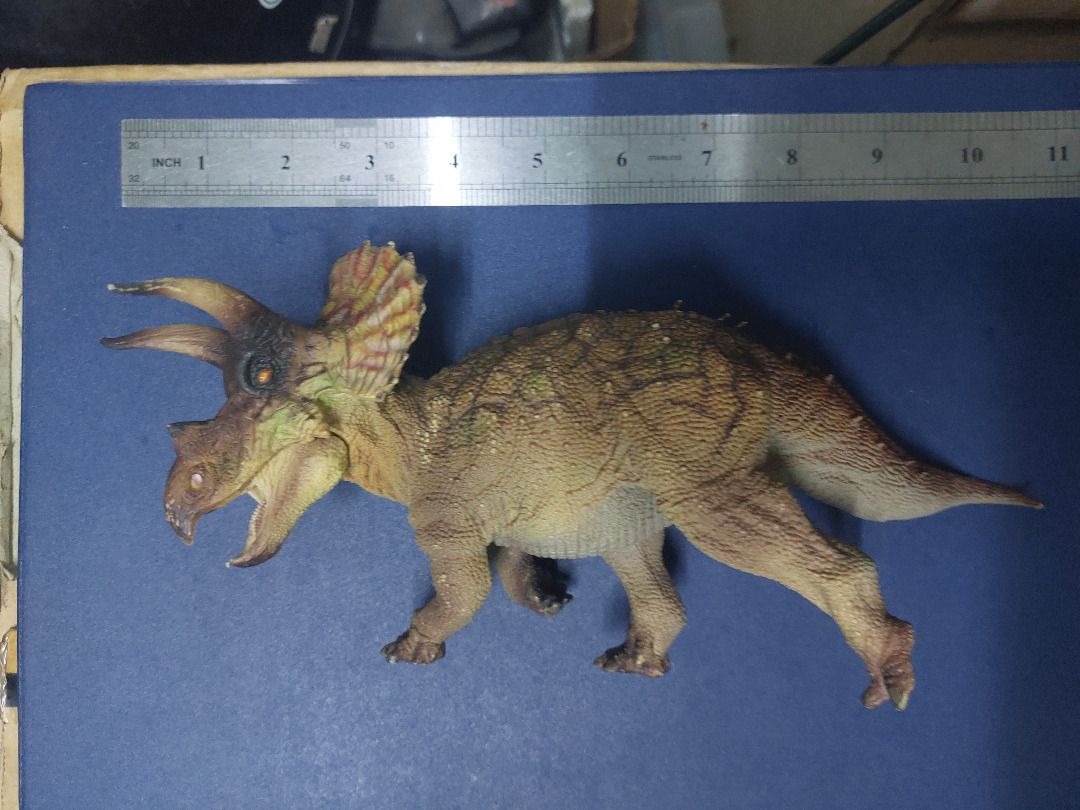 PNSO Triceratops Dinosaur 1:35 Scale, Hobbies & Toys, Toys & Games on ...
