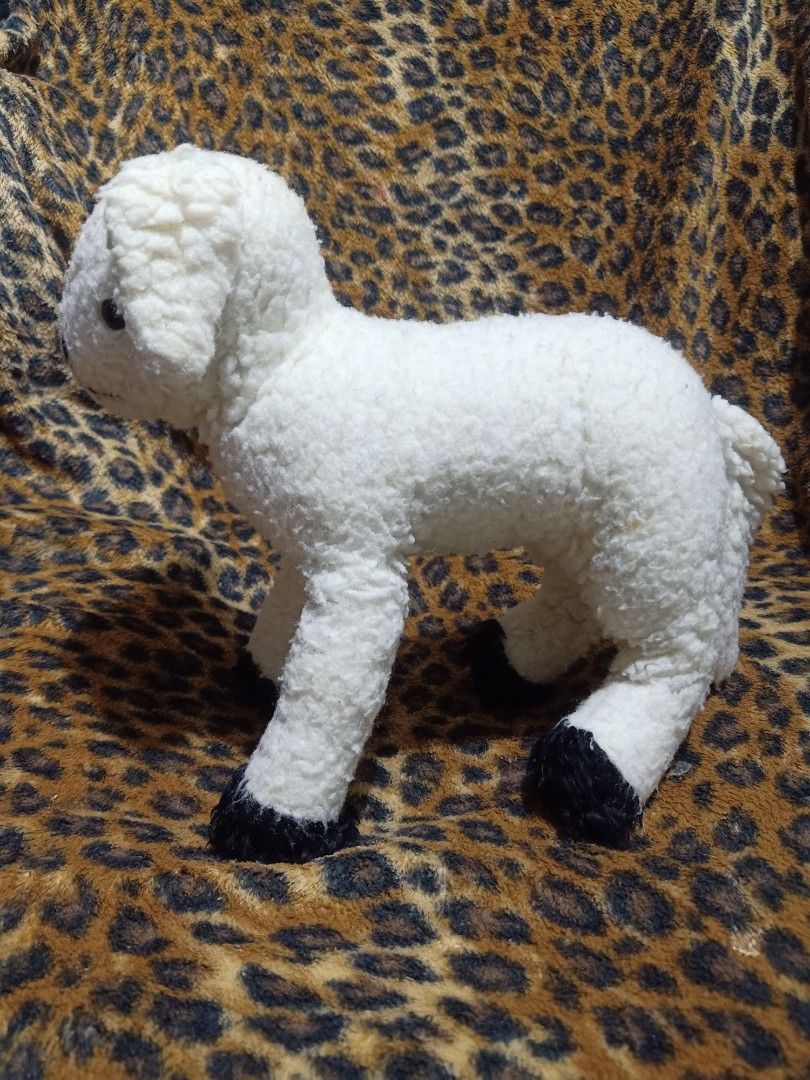REALISTIC SHEEP / LAMB PLUSH TOY, Hobbies & Toys, Toys & Games on Carousell