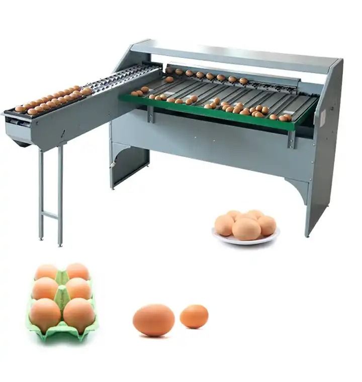 4000pcs/h Automatic Small Scale Grader Sort Egg Grade Machine by Weight ...