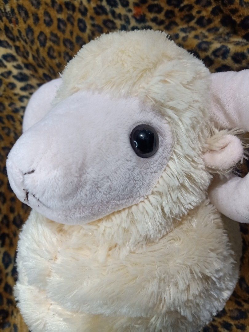 BIG SIZE REALISTIC SHEEP / LAMB PLUSH TOY, Hobbies & Toys, Toys & Games ...