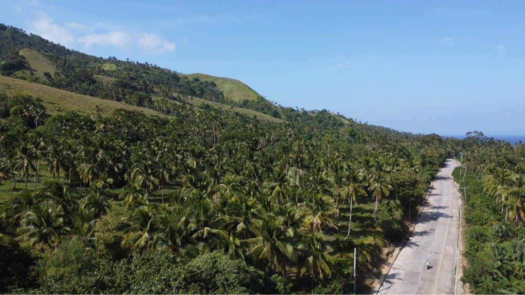 Concepcion Norte, Sta. Maria Romblon, Property, For Sale, Lot on Carousell