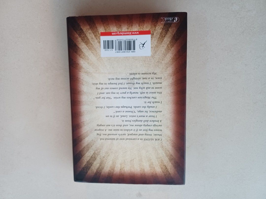 Conjured by Sarah Beth Durst, Hobbies & Toys, Books & Magazines ...