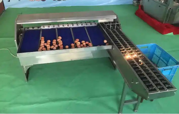 Egg Sorting Grading Machine Egg Grader, chicken egg sorting machine egg ...
