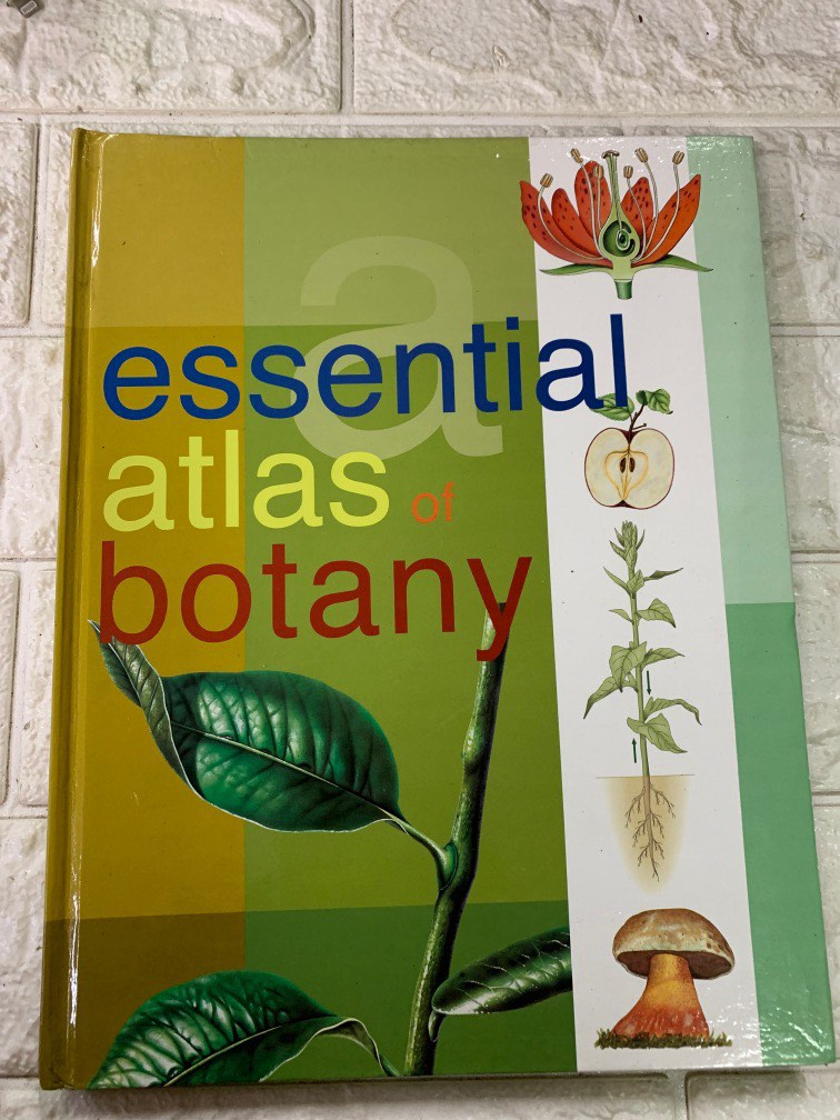 Essential Atlas of Botany, Hobbies & Toys, Books & Magazines, Children ...