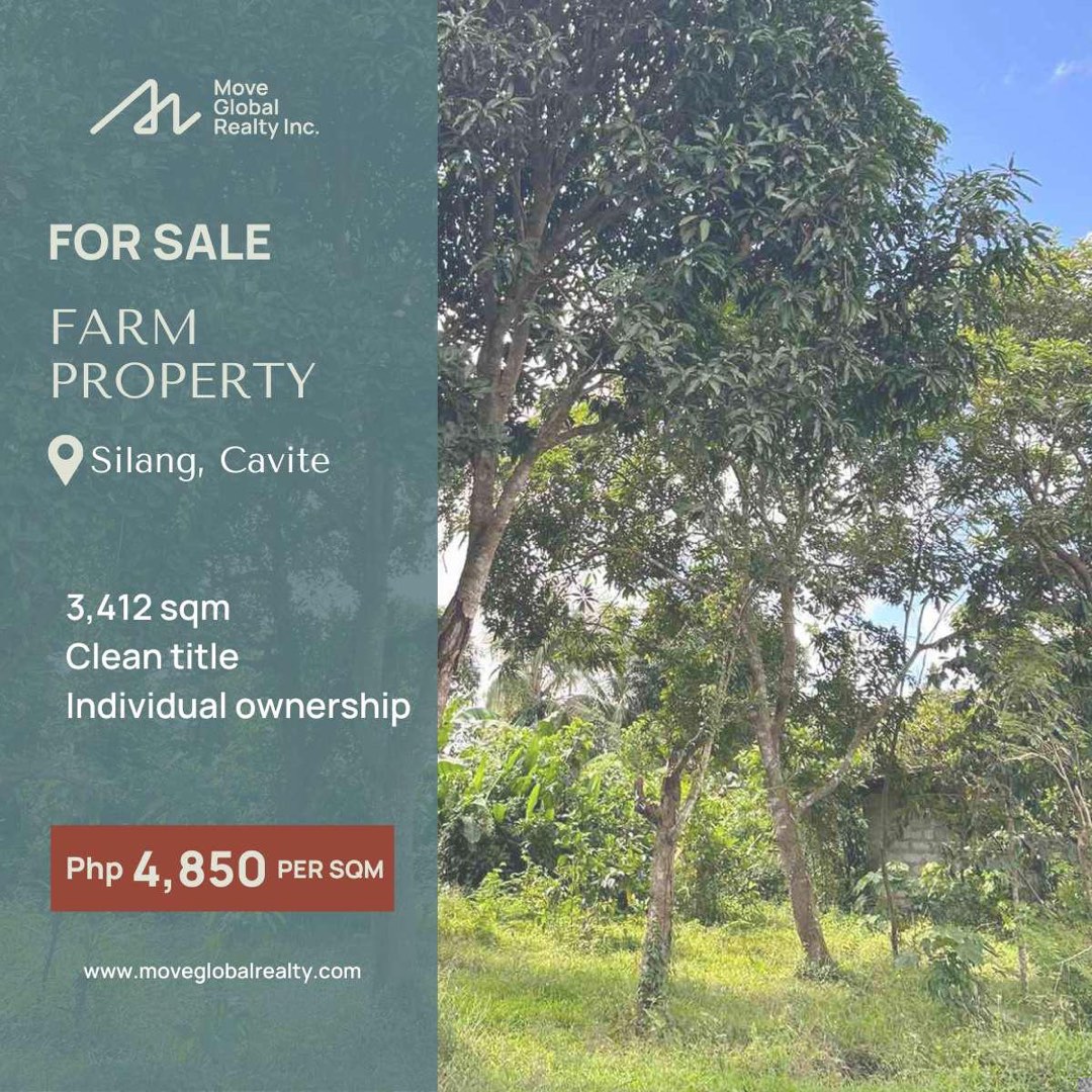 FOR SALE||FARM LOT IN SILANG, CAVITE, Property, For Sale, Lot on Carousell