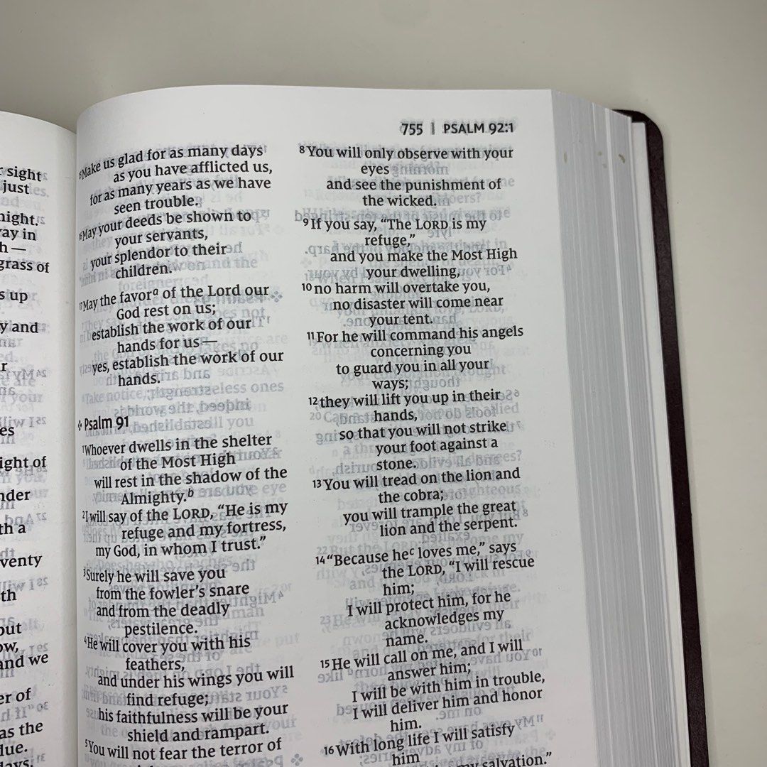 Holy Bible NIV Large Print, RED Letter, Burgundy Bonded Leather ...