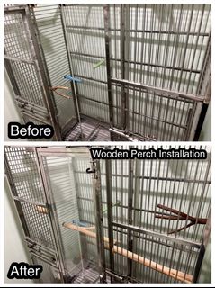Parrot Perch Installation, Lifestyle Services, Pet Care Services on ...