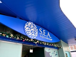 Resort World Sentosa Sea Aquarium Tickets, Tickets & Vouchers, Local ...