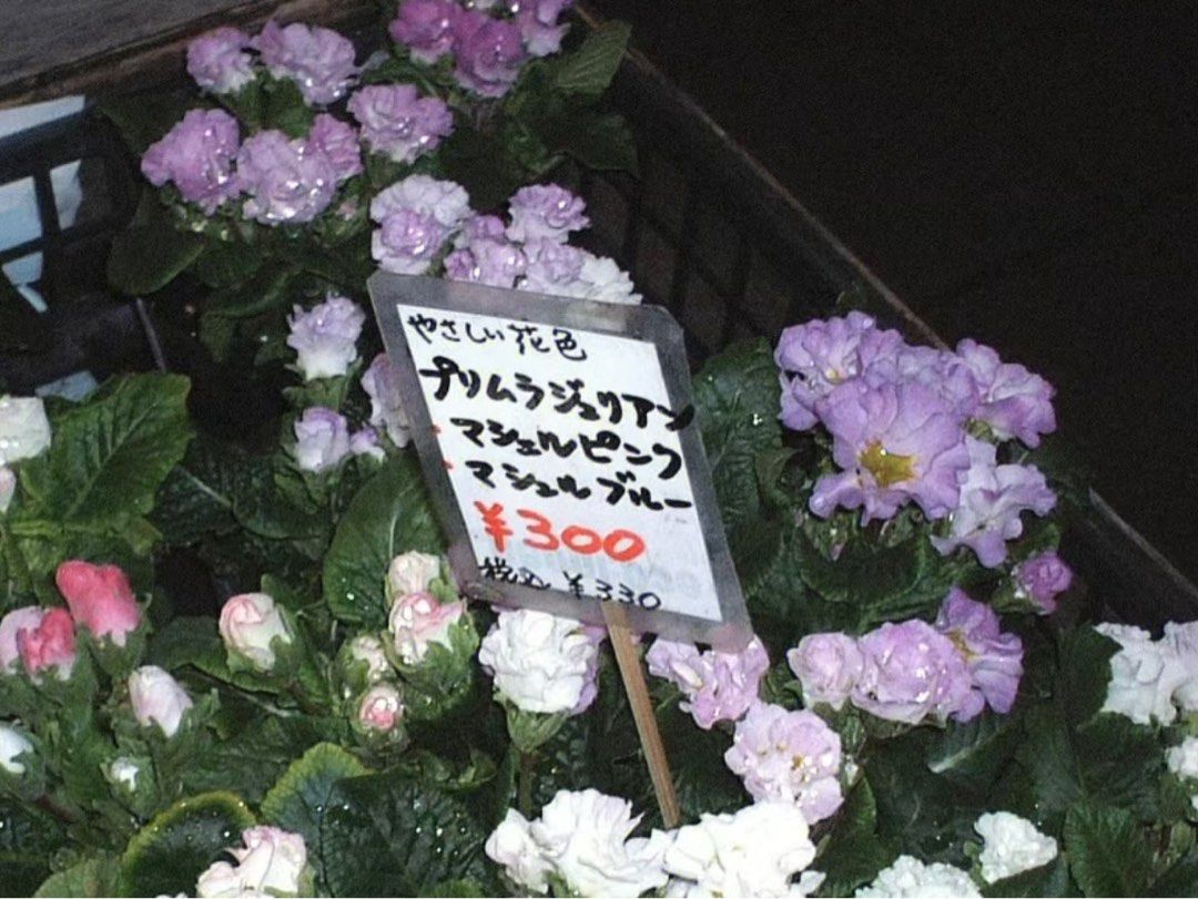 Samsung MV800 /Pink camera/ Vintage camera / Digital camera ...