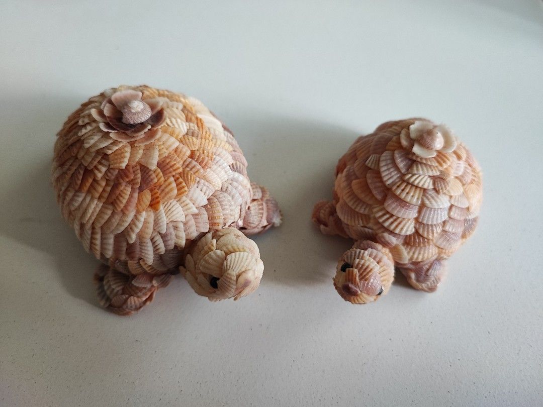 Seashell Turtles, Furniture & Home Living, Home Decor, Other Home Decor ...