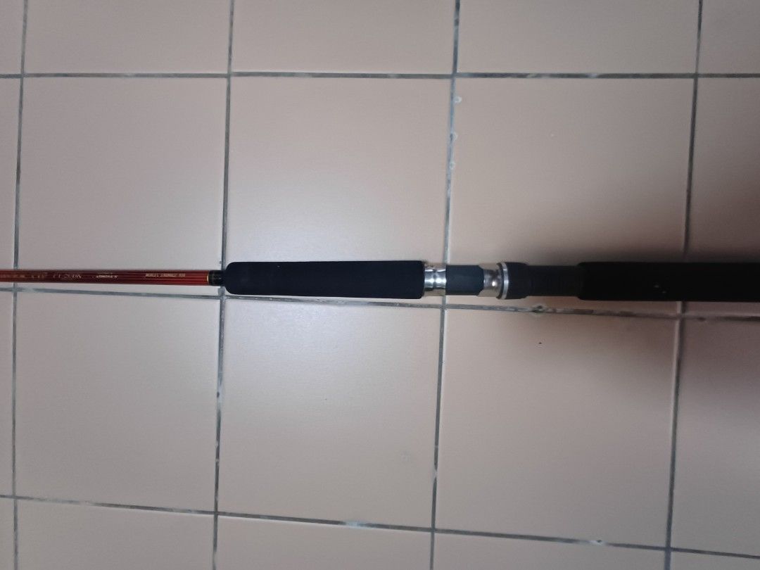 SILSTAR ROD, Sports Equipment, Fishing on Carousell